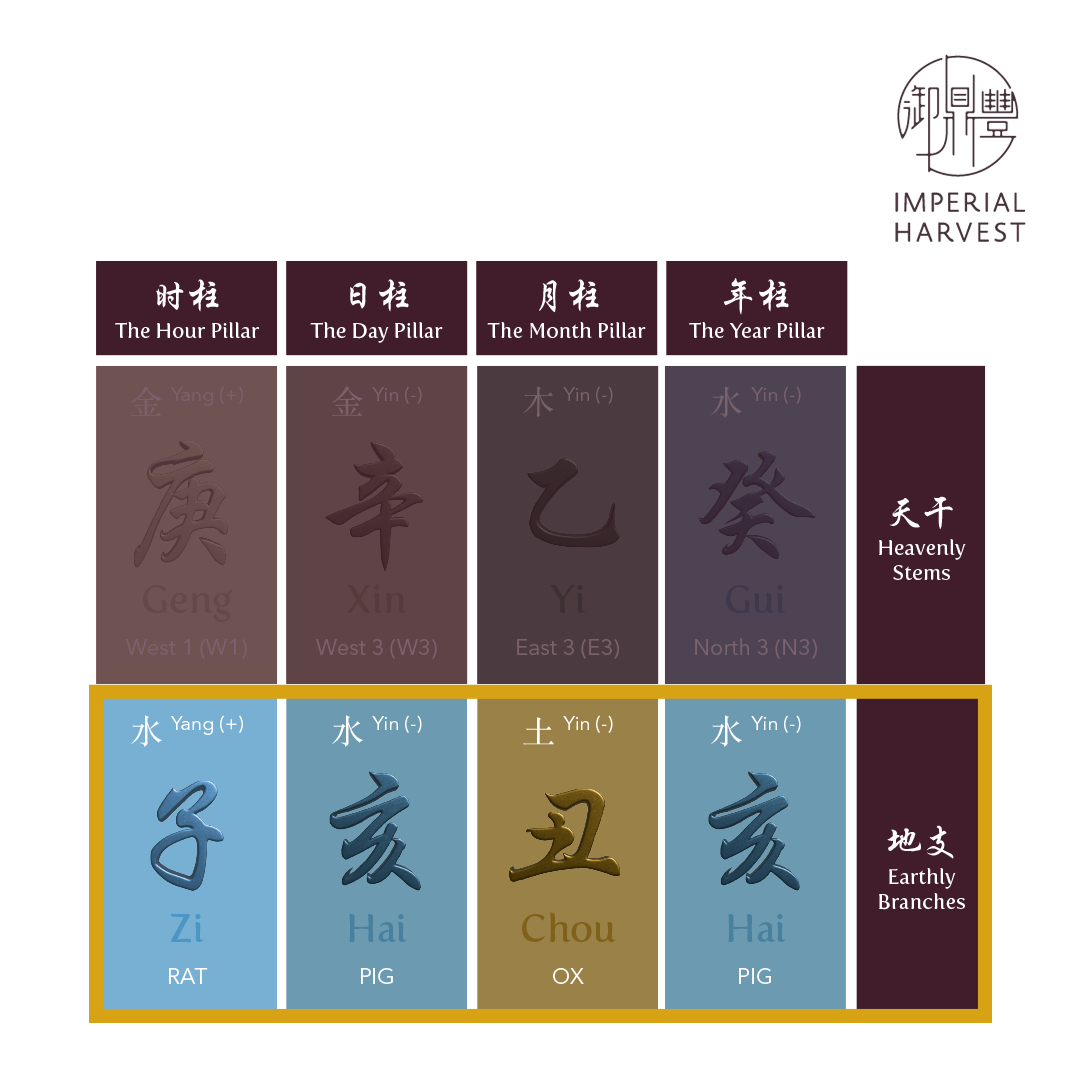 Introduction to the 12 Earthly Branches (十二地支) - Imperial Harvest