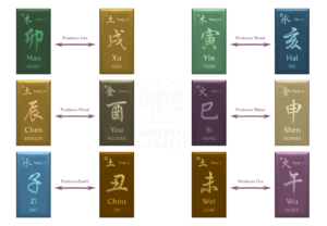 Introduction to the 12 Earthly Branches (十二地支) - Imperial Harvest