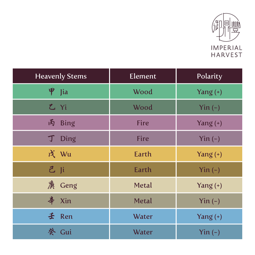 Beginner’s Guide to Bazi Reading - Imperial Harvest