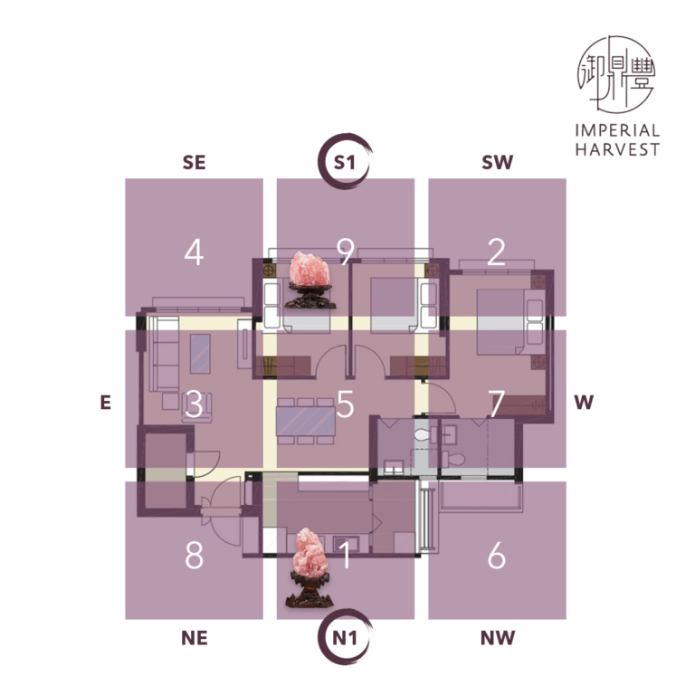 Unlocking the Power of Period 9 Feng Shui - Imperial Harvest