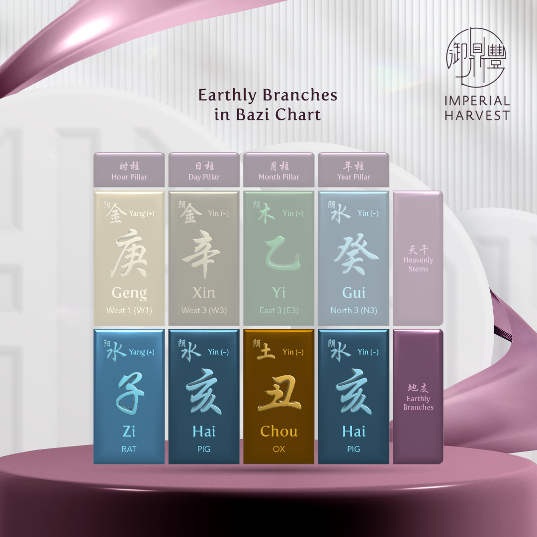 Introduction to the 12 Earthly Branches (十二地支) - Imperial Harvest