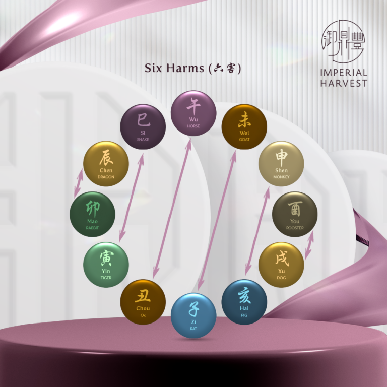 Introduction to the 12 Earthly Branches (十二地支) - Imperial Harvest