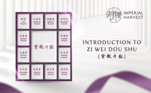 Introduction to Zi Wei Dou Shu (紫微斗数) - Imperial Harvest