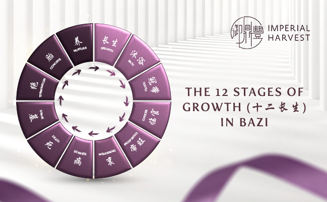 The 12 Stages of Growth (十二长生) in Bazi - Imperial Harvest