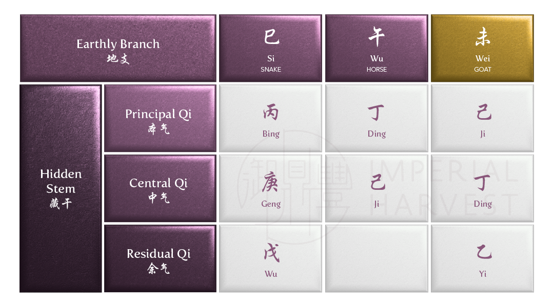 Hidden Heavenly Stems (藏干) in Earthly Branches - Imperial Harvest