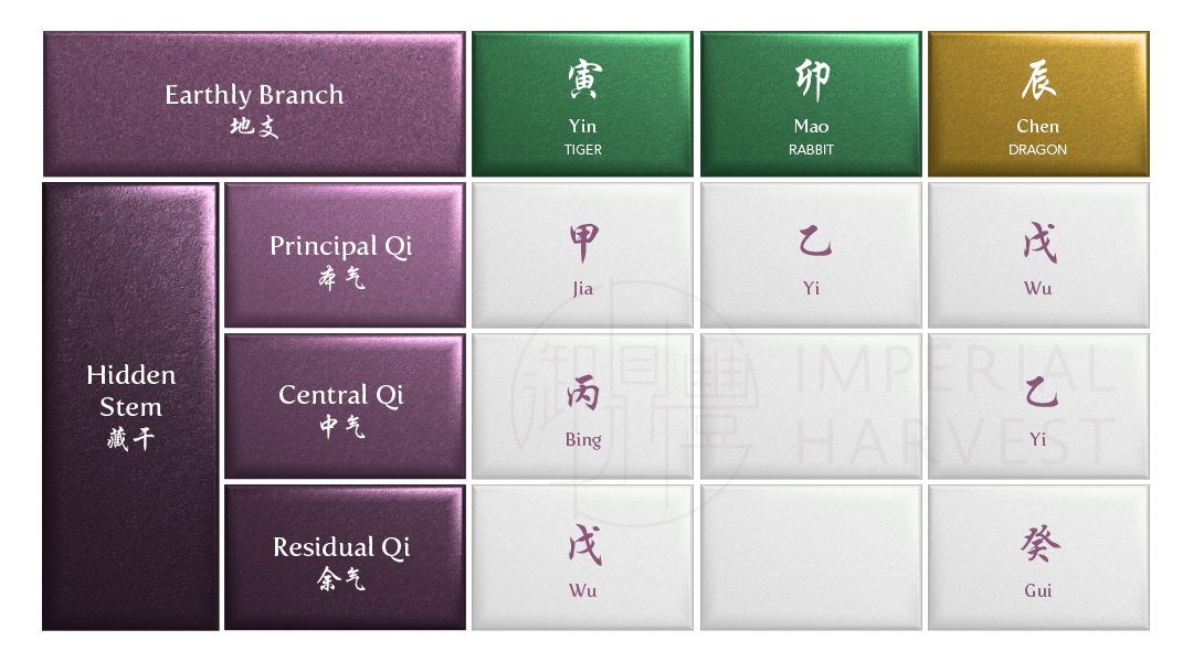Hidden Heavenly Stems (藏干) in Earthly Branches - Imperial Harvest