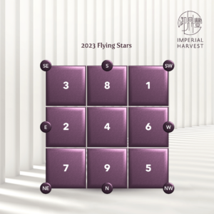 What are the 9 Flying Stars (九宫飞星) in Chinese Metaphysics? - Imperial ...