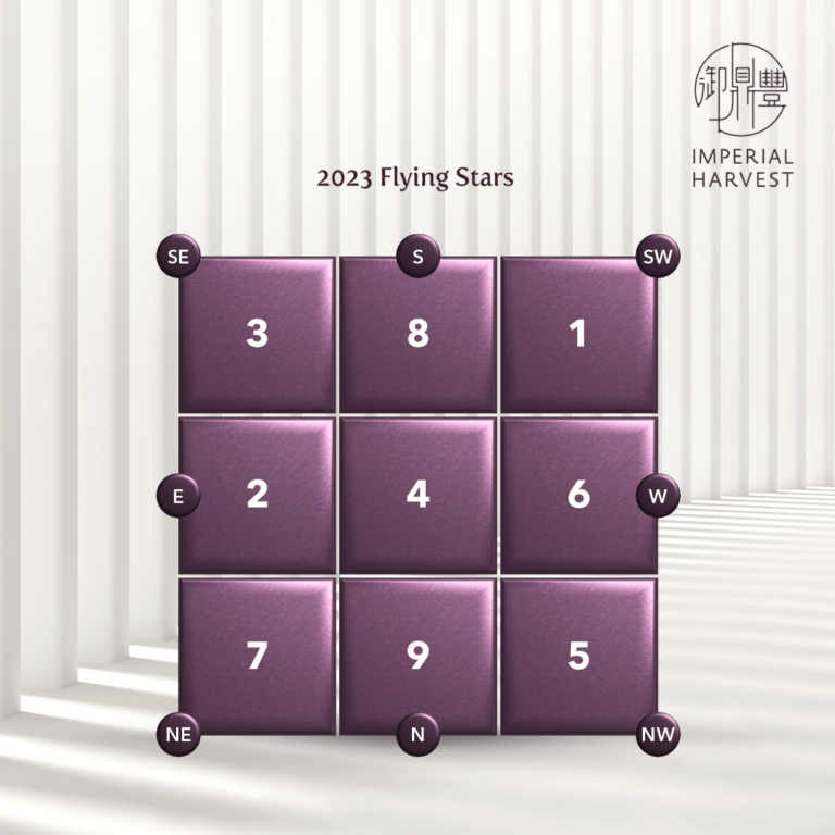 What are the 9 Flying Stars (九宫飞星) in Chinese Metaphysics? - Imperial ...