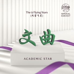 What are the 9 Flying Stars (九宫飞星) in Chinese Metaphysics? - Imperial ...