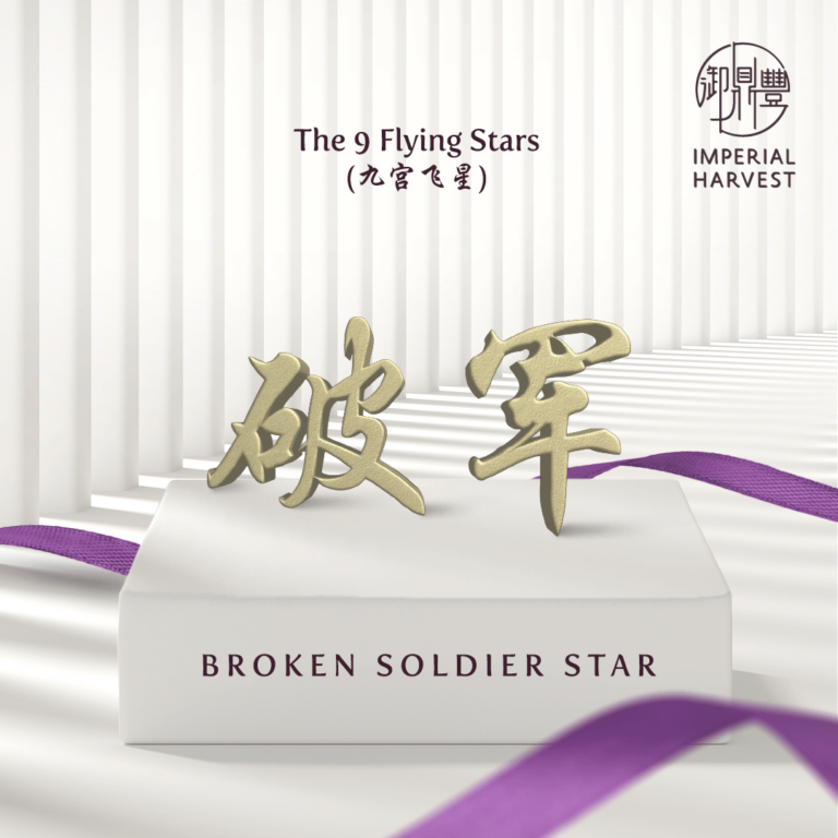 What are the 9 Flying Stars (九宫飞星) in Chinese Metaphysics? - Imperial ...