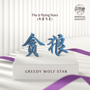 What are the 9 Flying Stars (九宫飞星) in Chinese Metaphysics? - Imperial ...