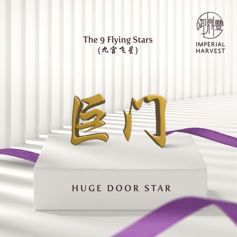 What are the 9 Flying Stars (九宫飞星) in Chinese Metaphysics? - Imperial ...