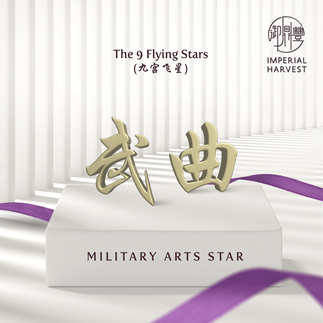 What are the 9 Flying Stars (九宫飞星) in Chinese Metaphysics? - Imperial ...