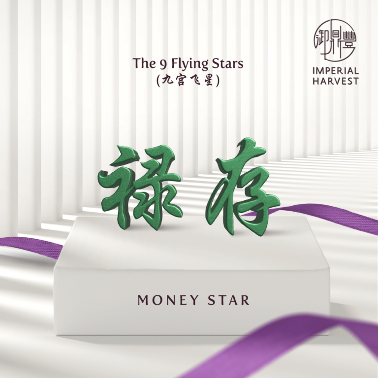 What are the 9 Flying Stars (九宫飞星) in Chinese Metaphysics? - Imperial ...