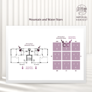 What are the 9 Flying Stars (九宫飞星) in Chinese Metaphysics? - Imperial ...