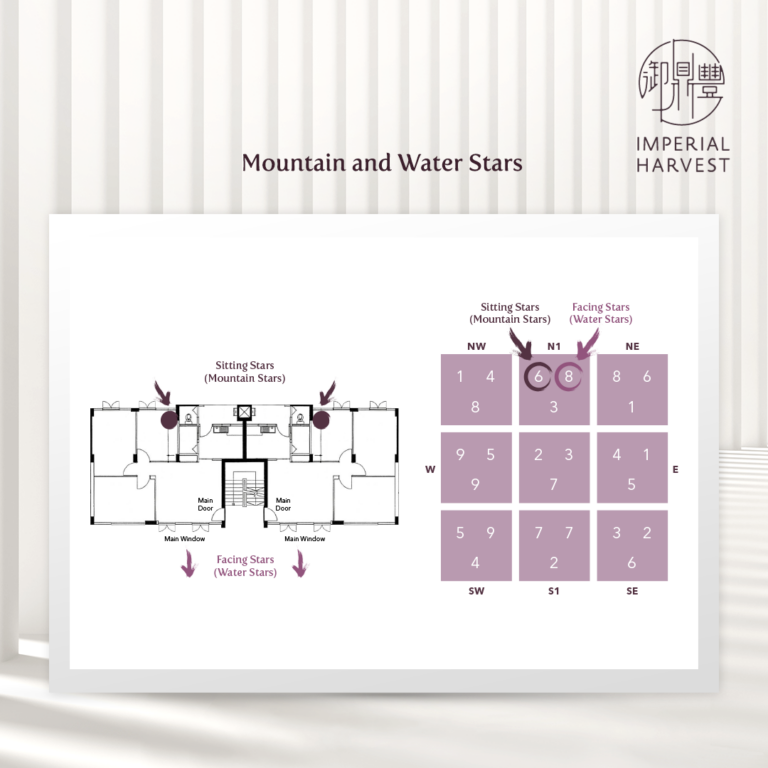 What are the 9 Flying Stars (九宫飞星) in Chinese Metaphysics? - Imperial ...