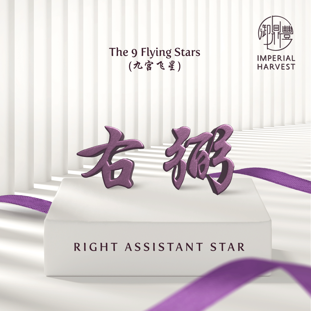 What are the 9 Flying Stars (九宫飞星) in Chinese Metaphysics? - Imperial ...
