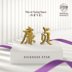 What are the 9 Flying Stars (九宫飞星) in Chinese Metaphysics? - Imperial ...