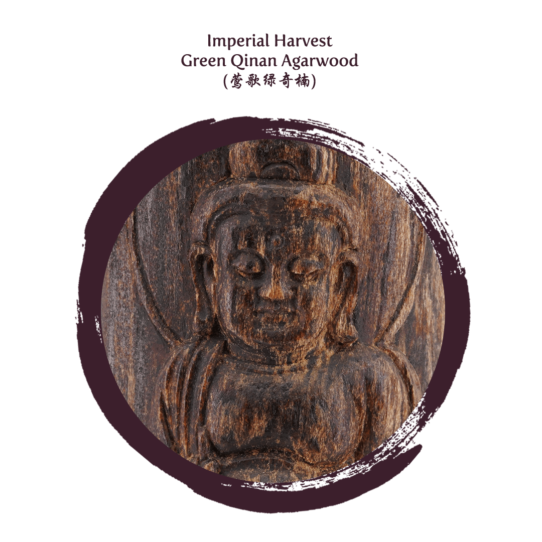 The Complete Guide to Imperial Harvest Qinan Agarwood - Imperial Harvest
