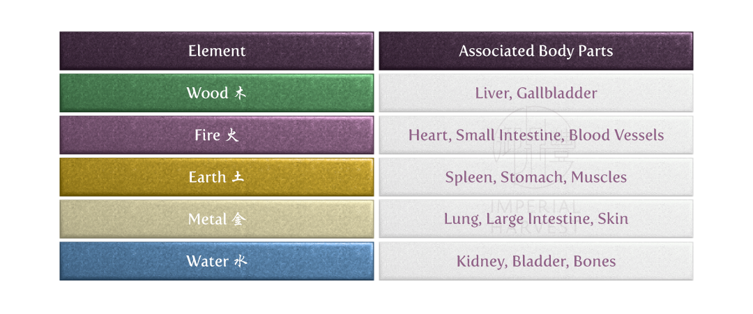 The Art of Medicine in Chinese Metaphysics - Imperial Harvest
