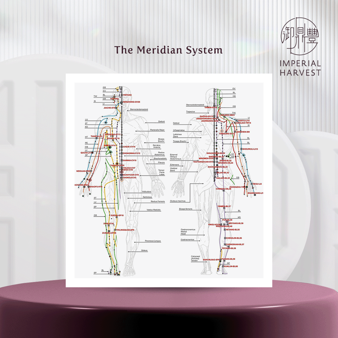 The Art of Medicine in Chinese Metaphysics - Imperial Harvest