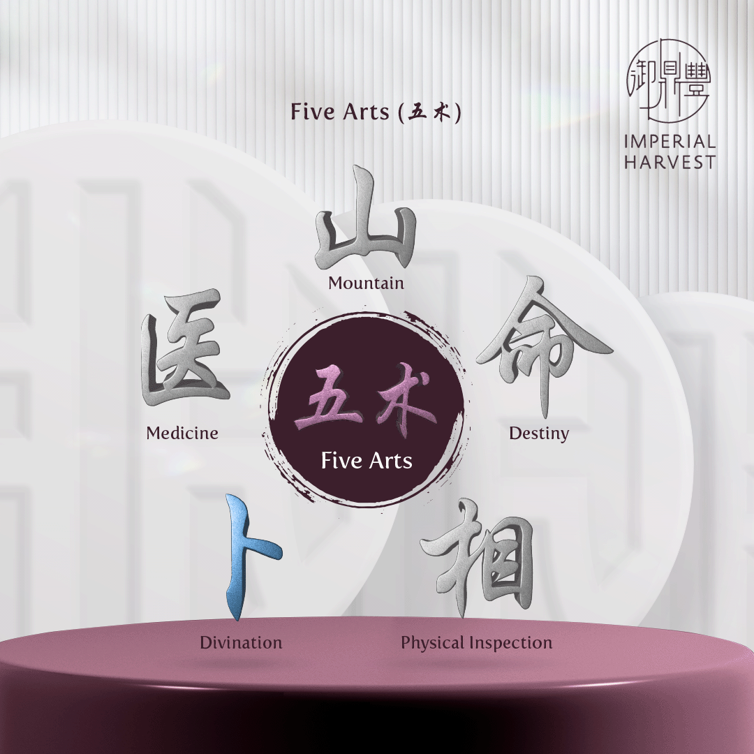 The Art of Divination in Chinese Metaphysics - Imperial Harvest