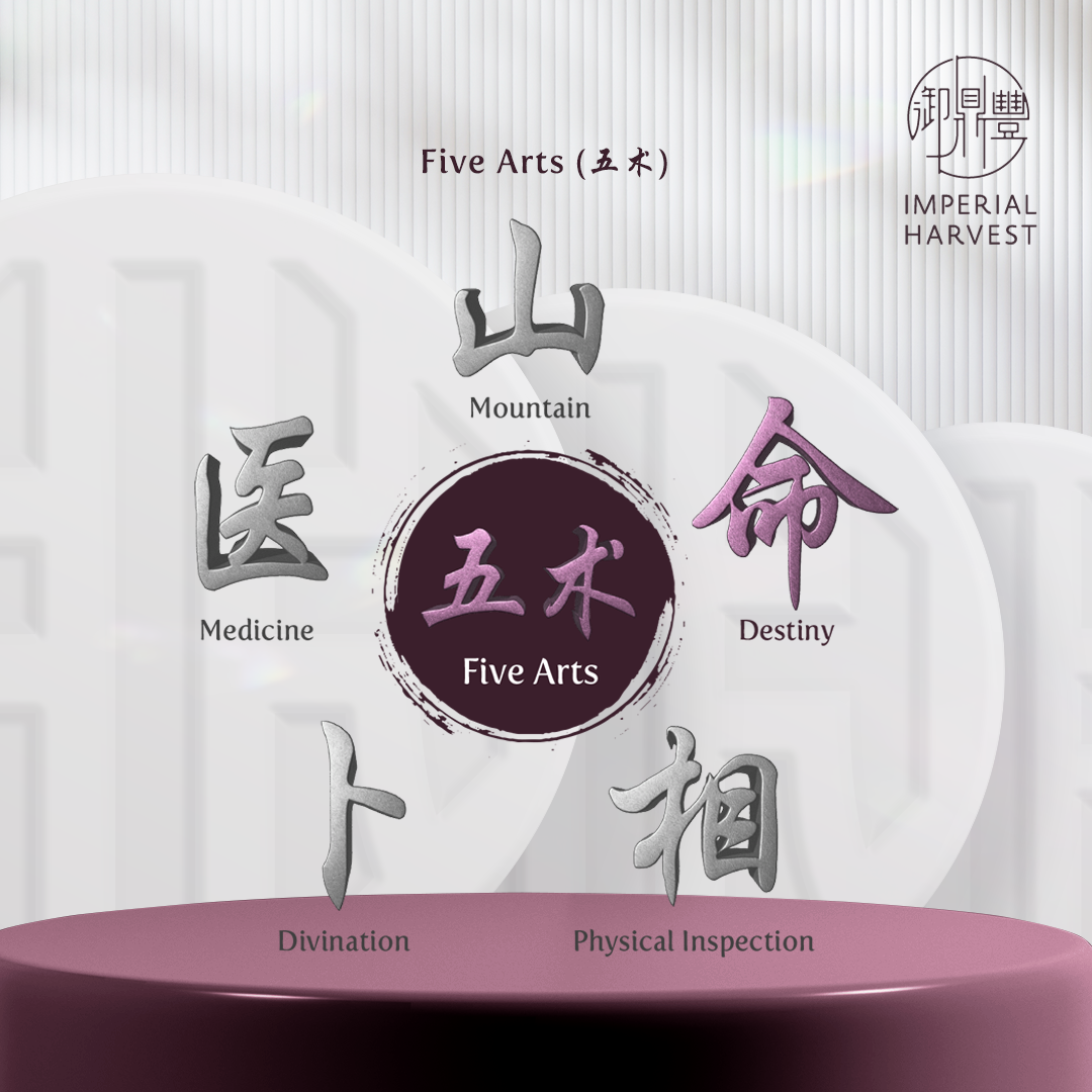 The Art of Destiny in Chinese Metaphysics - Imperial Harvest