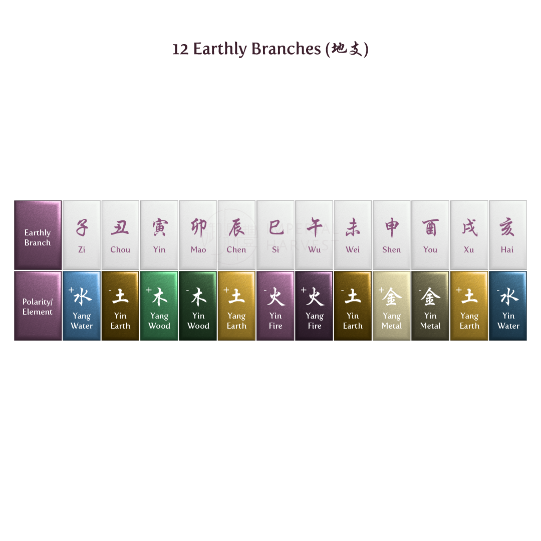 Beginner’s Guide to Bazi Reading - Imperial Harvest