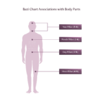 Beginner’s Guide to Bazi Reading - Imperial Harvest