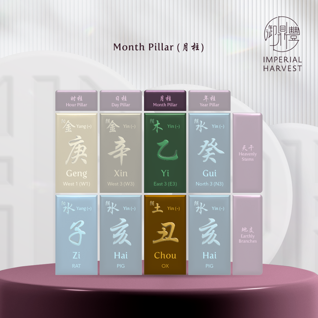 Beginner’s Guide to Bazi Reading - Imperial Harvest