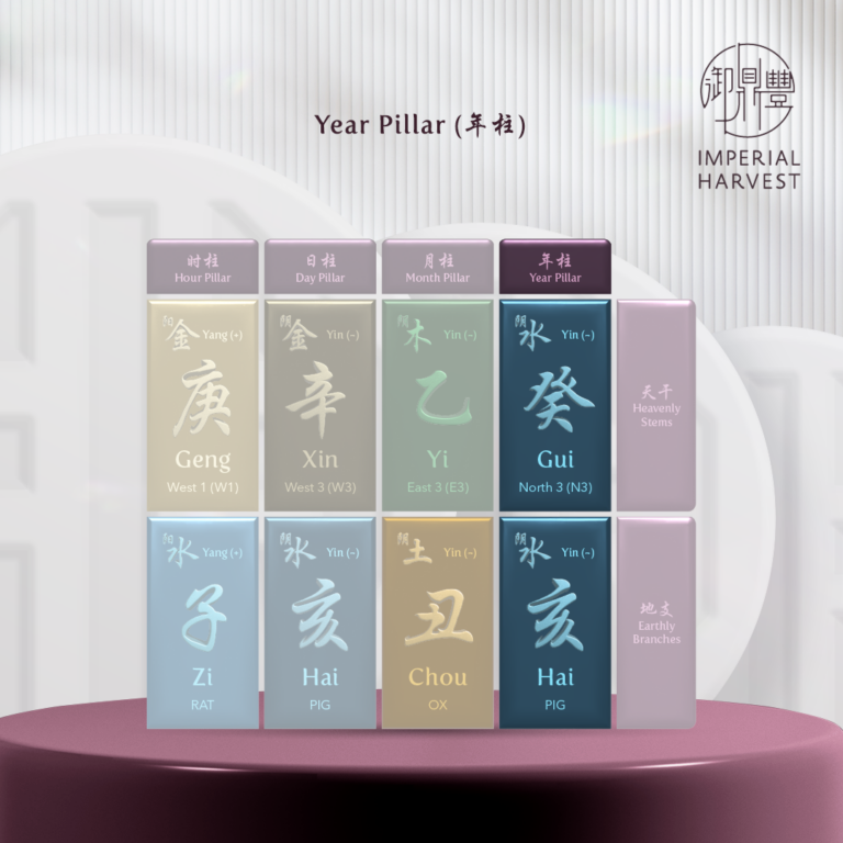 Beginner’s Guide to Bazi Reading - Imperial Harvest