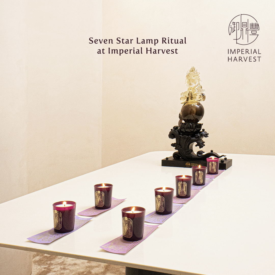 Beginner’s Guide to Qi Men Dun Jia - Imperial Harvest