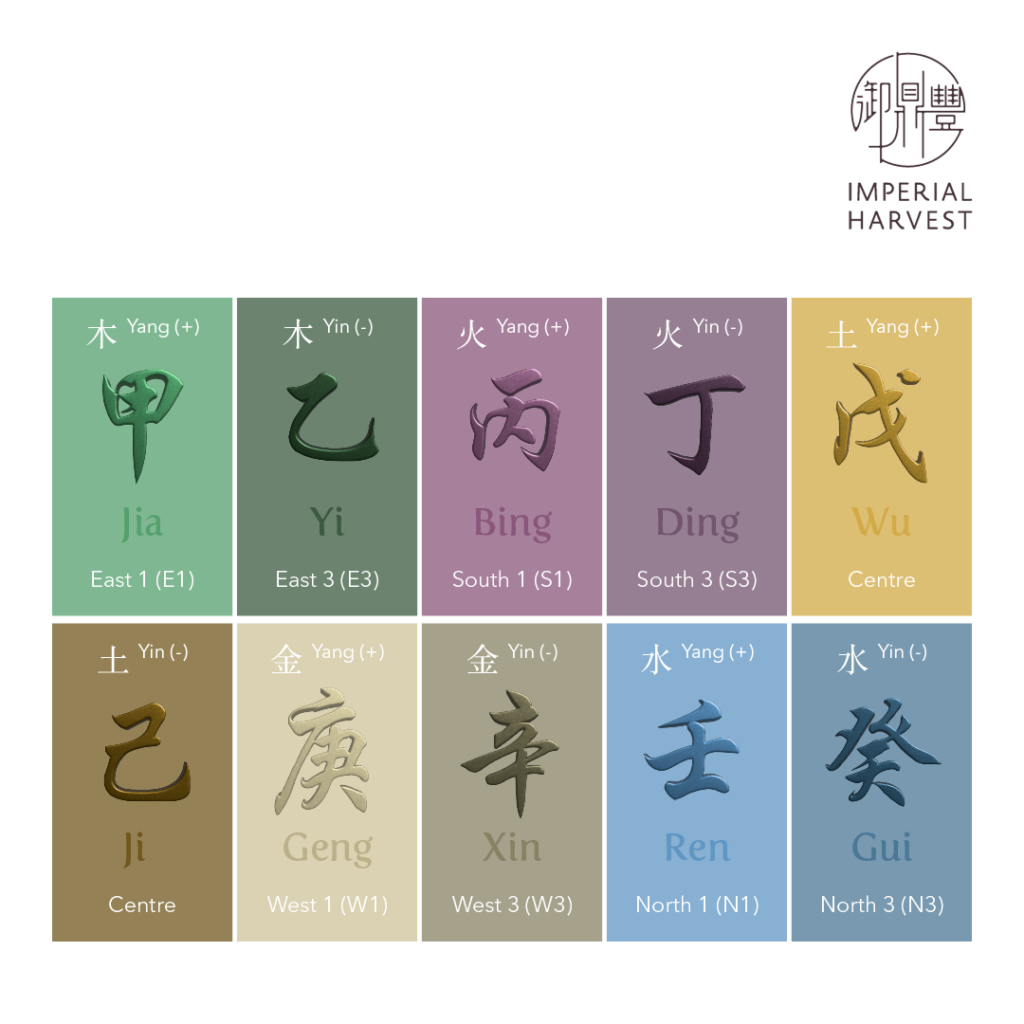 Understanding Your Daymaster (日主) - Imperial Harvest