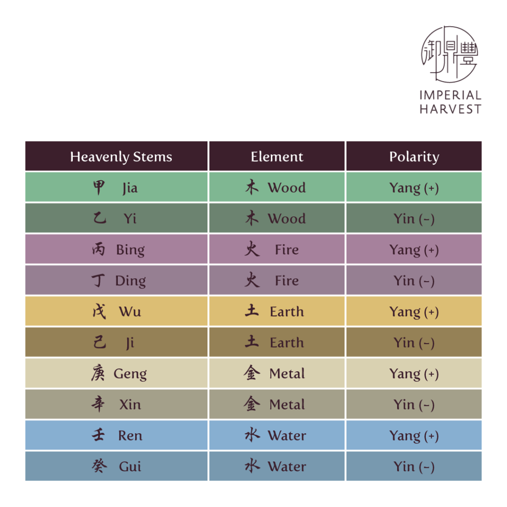 Understanding Your Daymaster (日主) - Imperial Harvest