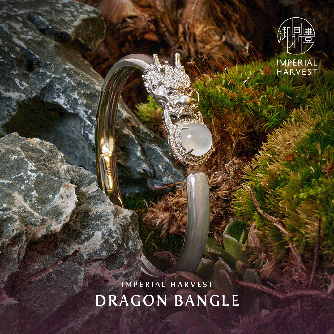 Imperial Dragon Bangle: A Masterpiece of Imperial Feng Shui Elegance ...