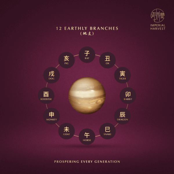 The 12 Earthly Branches (十二地支) - Imperial Harvest